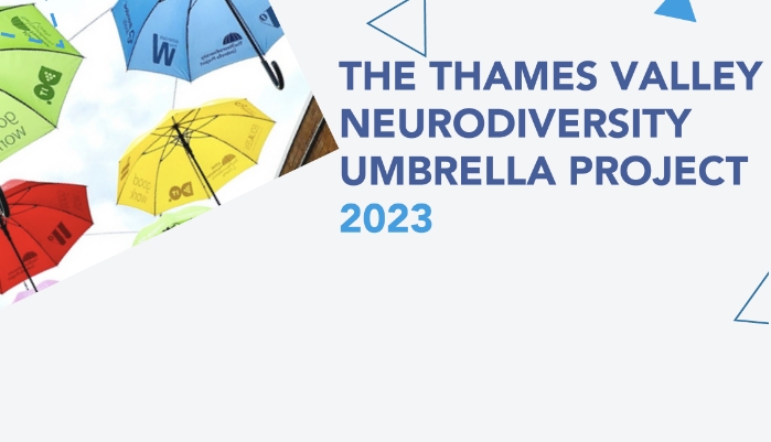 The Thames Valley Neurodiversity Umbrella Project 2023 - Brighter ...